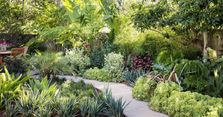 Choosing Plants | Sunset Plant Collection