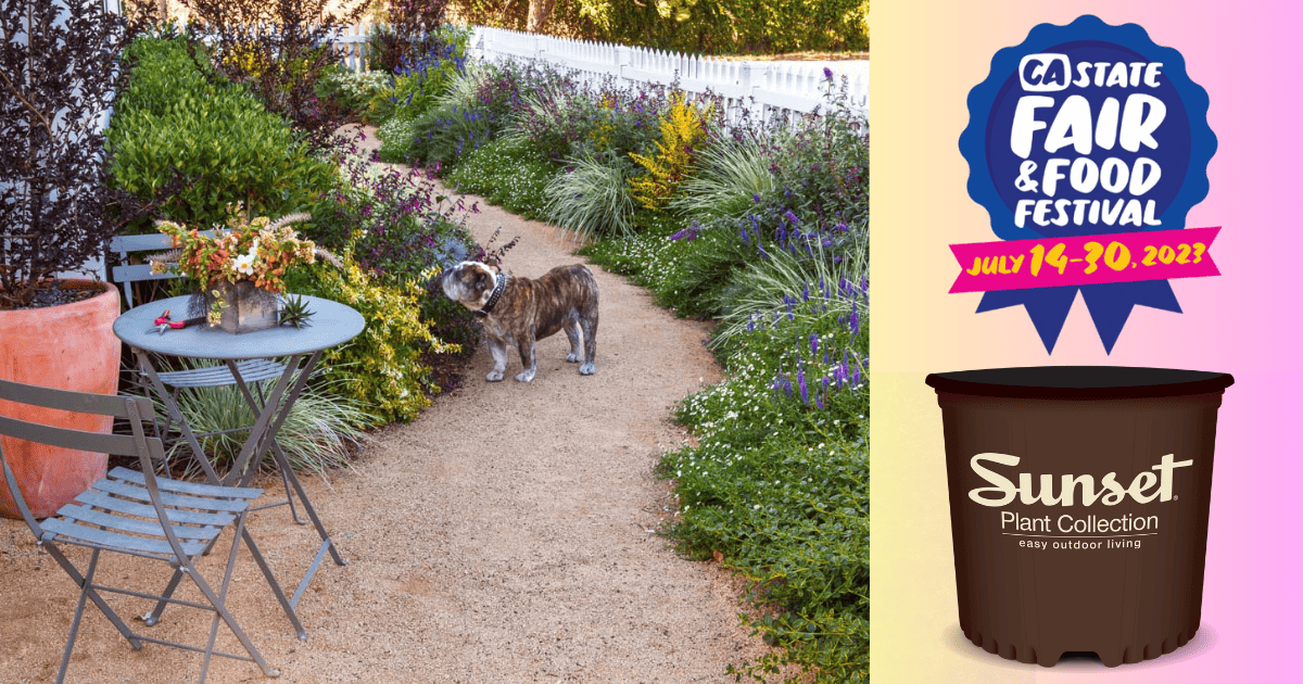 Save Our Water with Sunset Plants | Sunset Plant Collection
